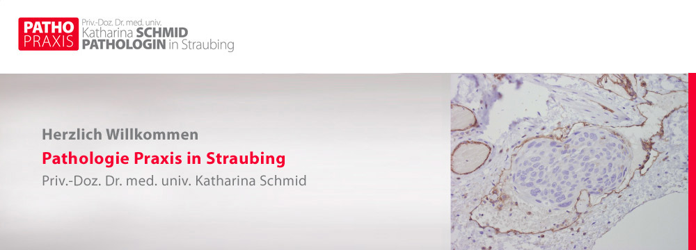 Wissenschaftliche Originalarbeiten - Pathologie Praxis Straubing Wissenschaftliche Originalarbeiten - Pathologie Praxis Straubing